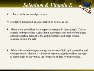 Minerals, vitamins and their interractoins in poultry rations | PPT