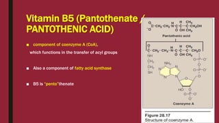 Vitamins b2, b3, b5, b6, b7 (Biochemistry – Lippincott’s Illustrated ...