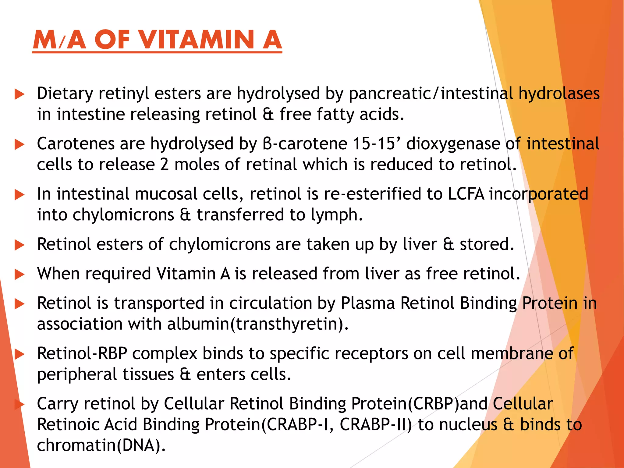 VITAMINS | PPTX