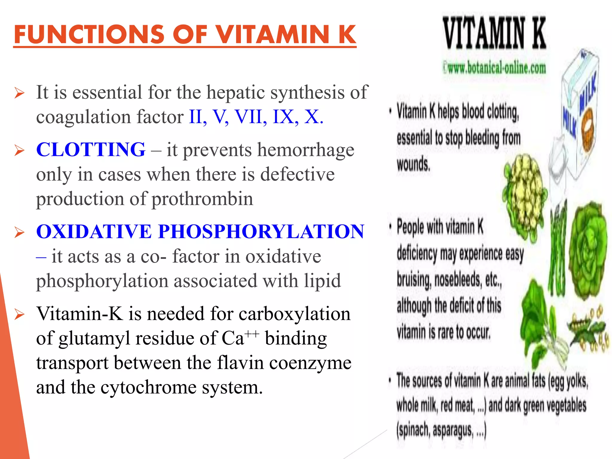 VITAMINS | PPTX