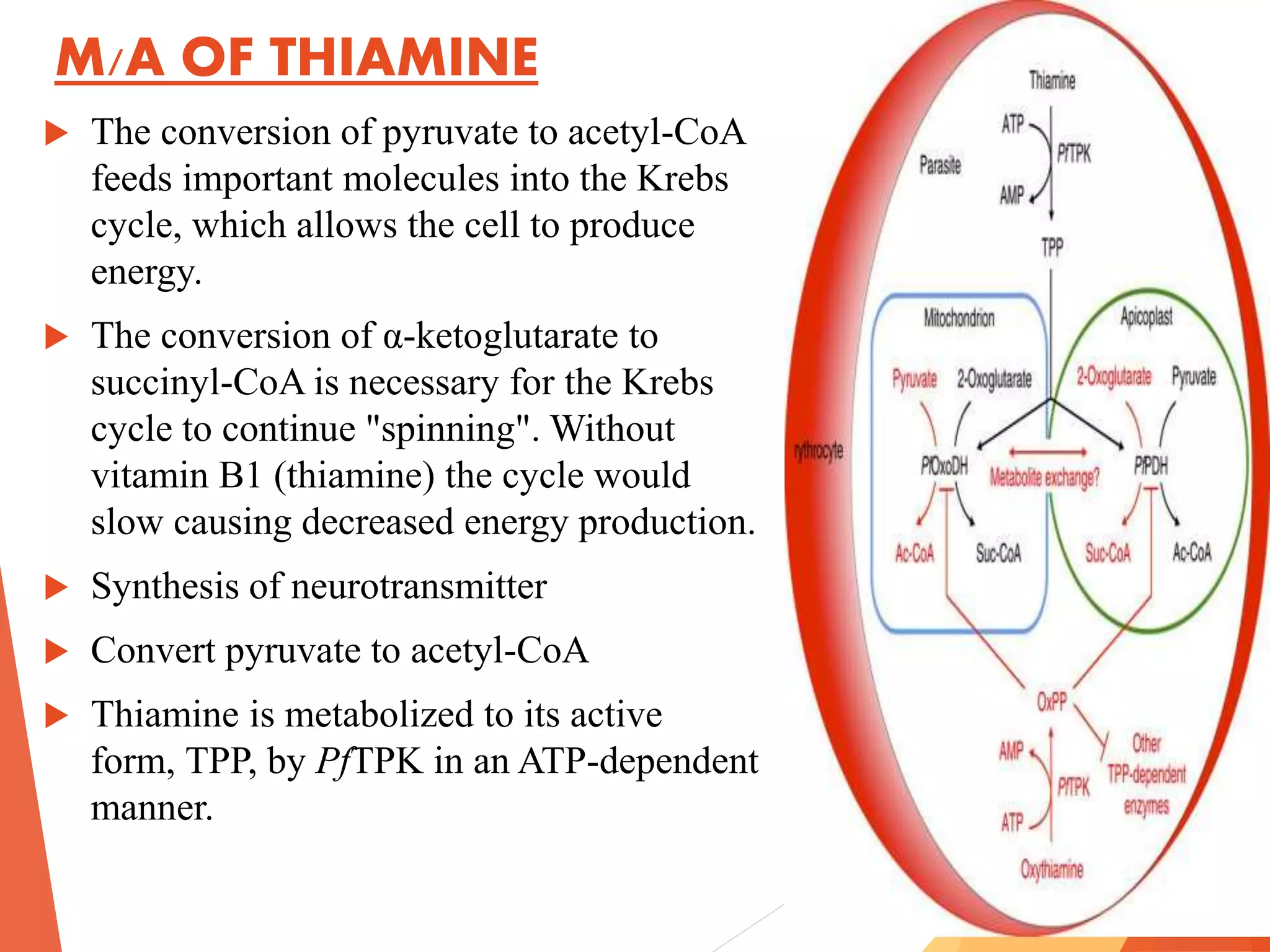 VITAMINS | PPTX