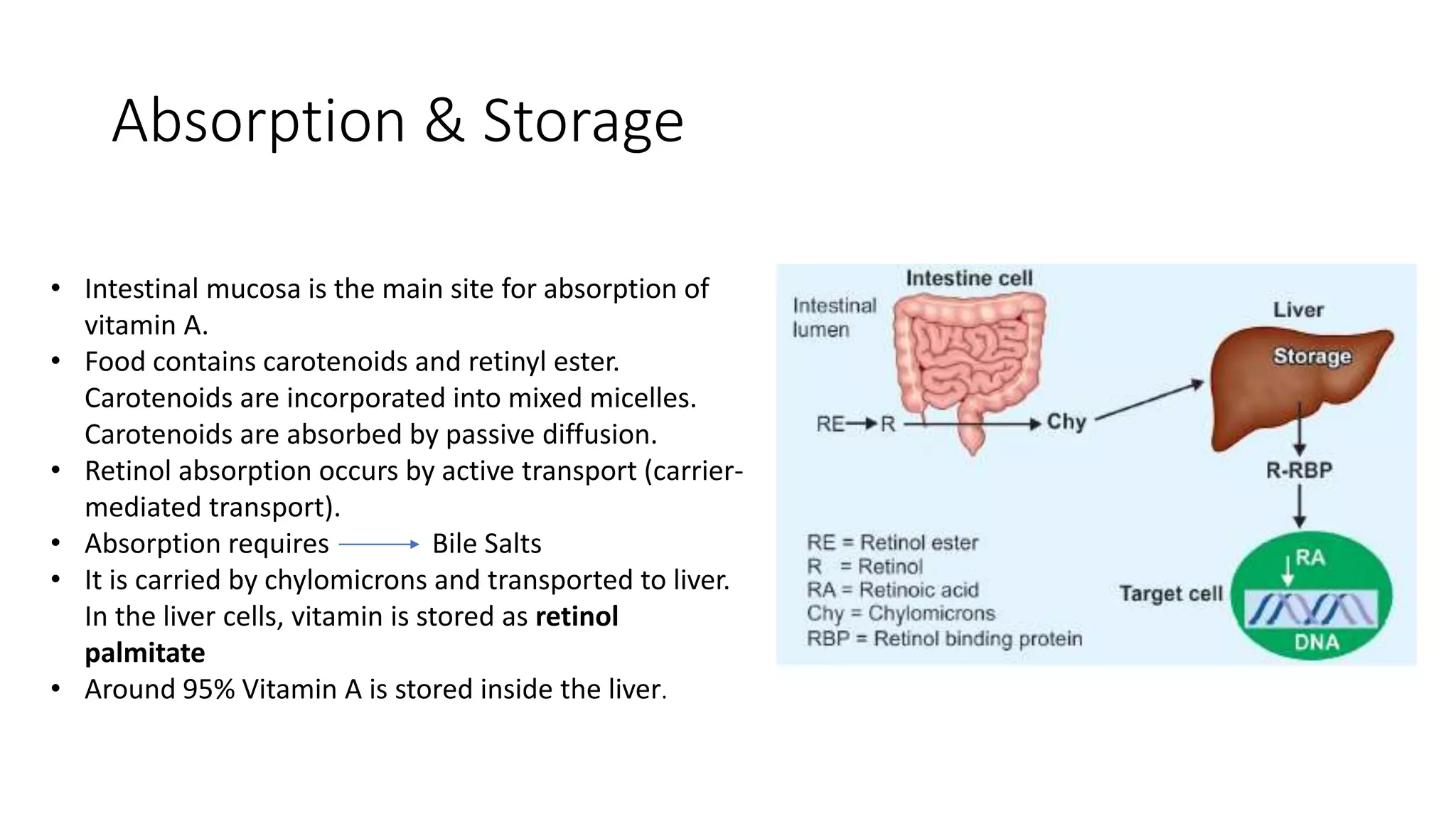 Vitamins & their Oral Manifestations | PPTX