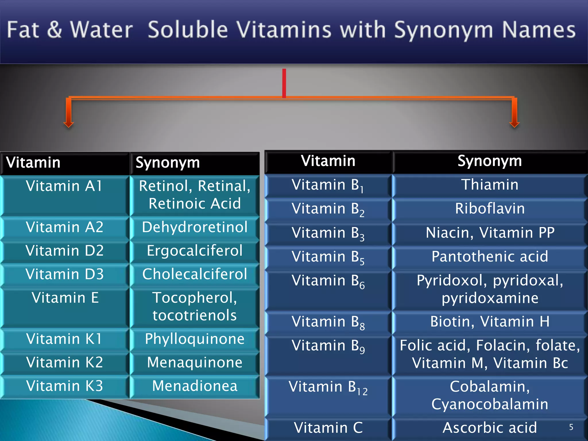 Vitamins in animals | PPTX