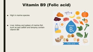 Vitamins in fish | PPTX