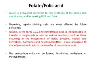 vitamins in nutrient metabolism.pptx
