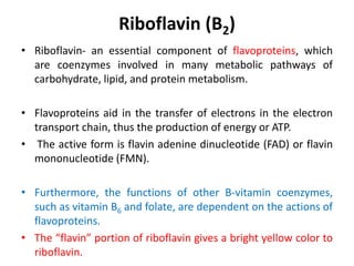vitamins in nutrient metabolism.pptx