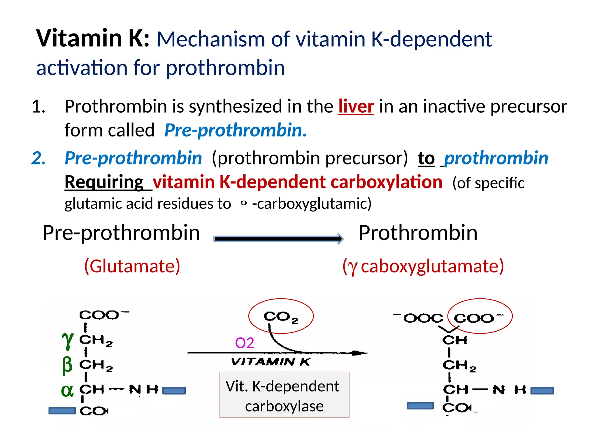 Vitamin larut Lemak: Vitamins K & E.pptx
