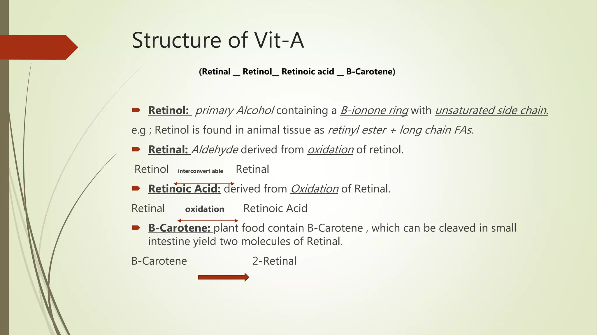Vitamins (lippincott biochemistry) | PPTX