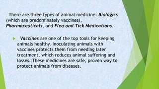 Vitamins, Medicines and Additives used in Animal.pptx