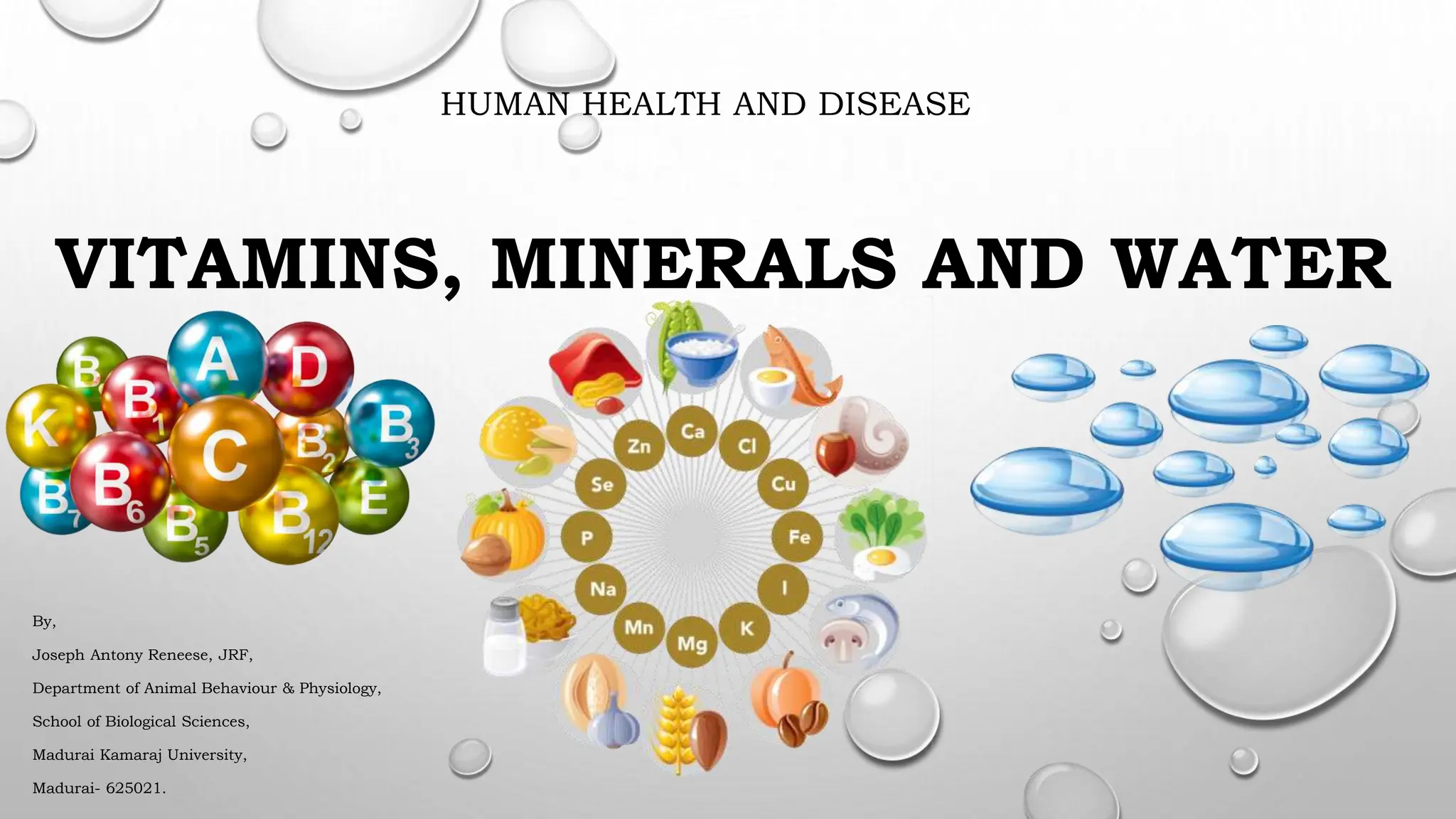 Vitamins, Minerals and Water in daily life.pptx