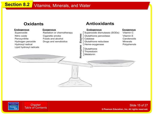 Vitamins Minerals and Water lecture.ppt | Chemistry | Science