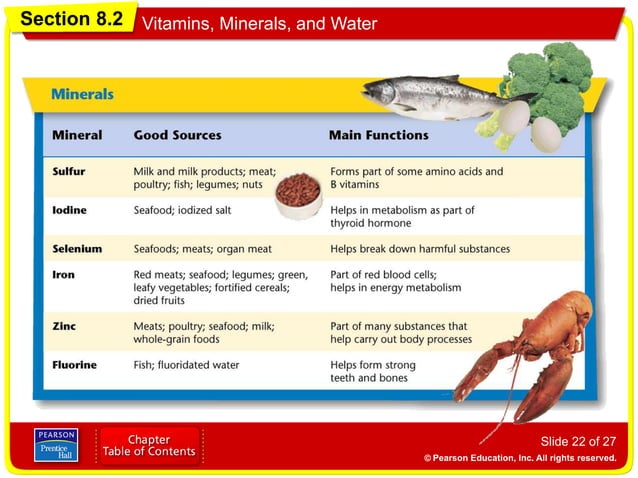 Vitamins Minerals and Water lecture.ppt | Chemistry | Science