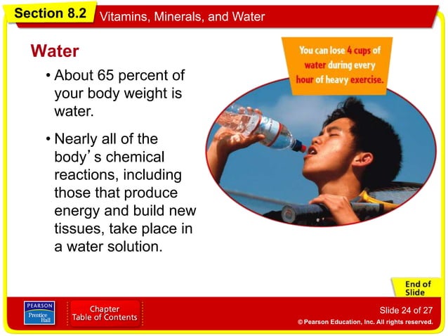 Vitamins Minerals and Water lecture.ppt | Chemistry | Science