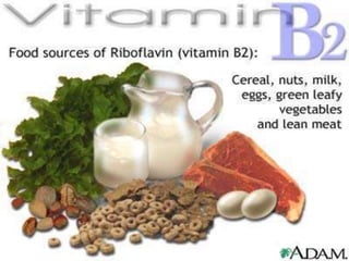 Vitamins of B group.ppt and it's function metabolism | PPT