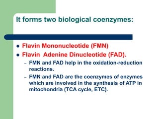 Vitamins of B group.ppt and it's function metabolism | PPT