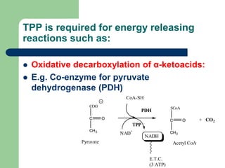 Vitamins of B group.ppt and it's function metabolism | PPT