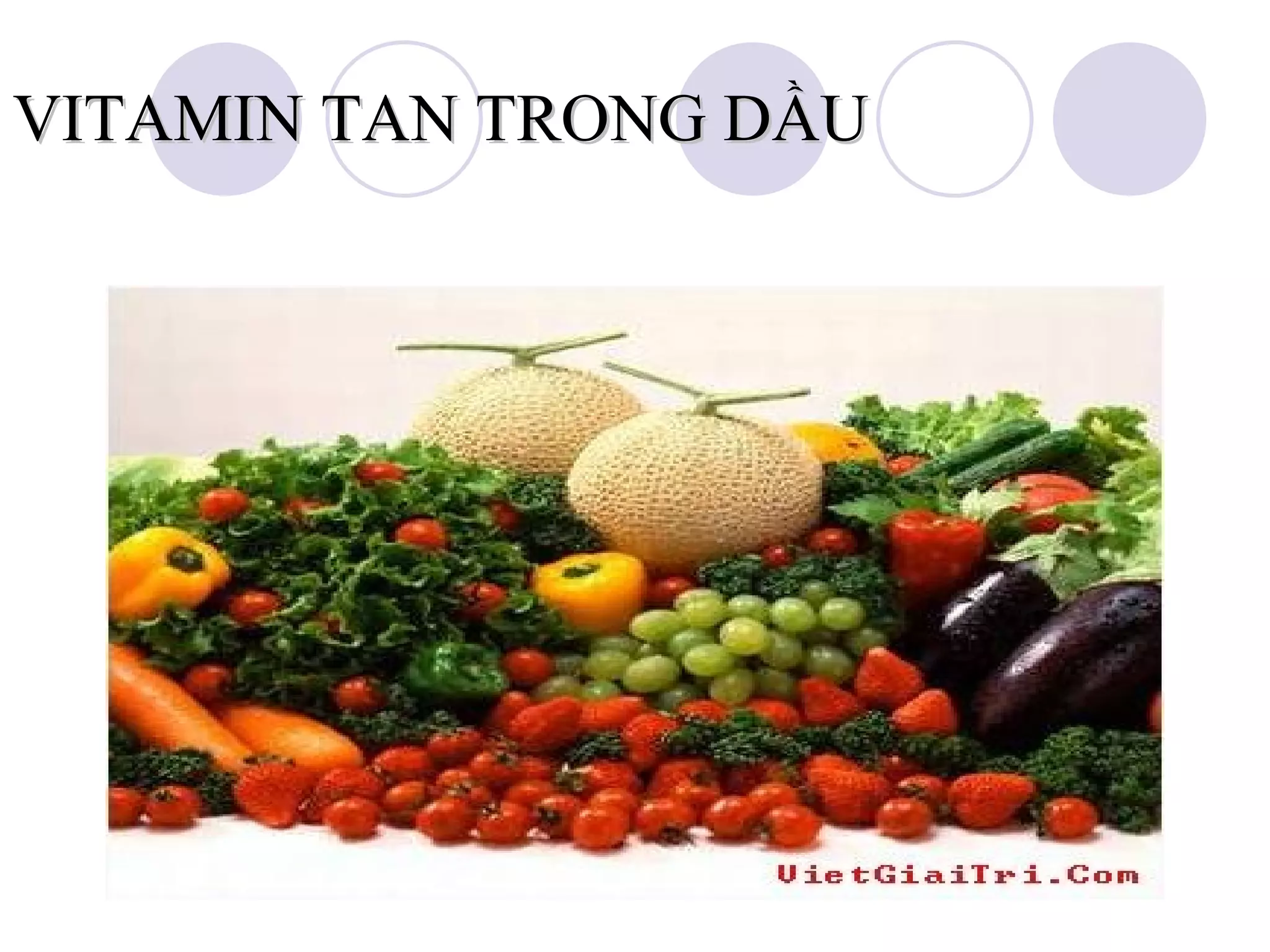 Vitamin tan trong dầu | PPT
