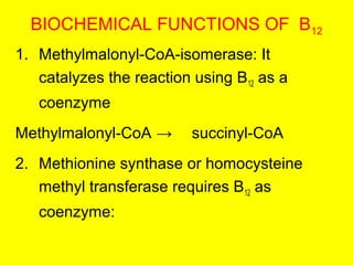 Vitamin B12 MUHAMMAD MUSTANSAR | PPT