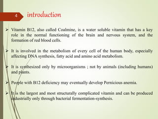 Vit B12.pptx