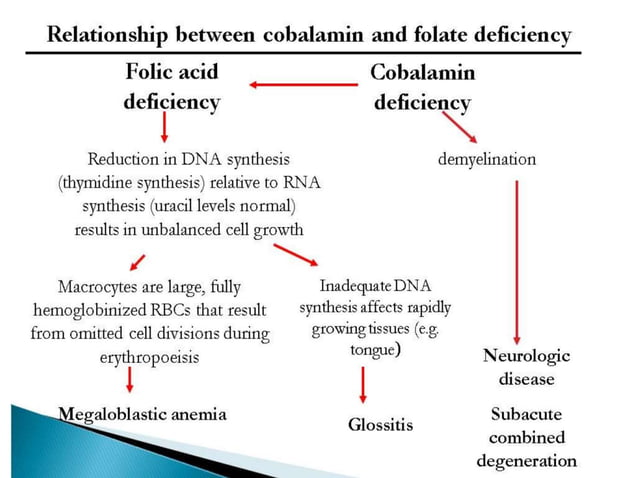 Vit b12 deficiency causes and management | PPTX | Digestive Disorders ...