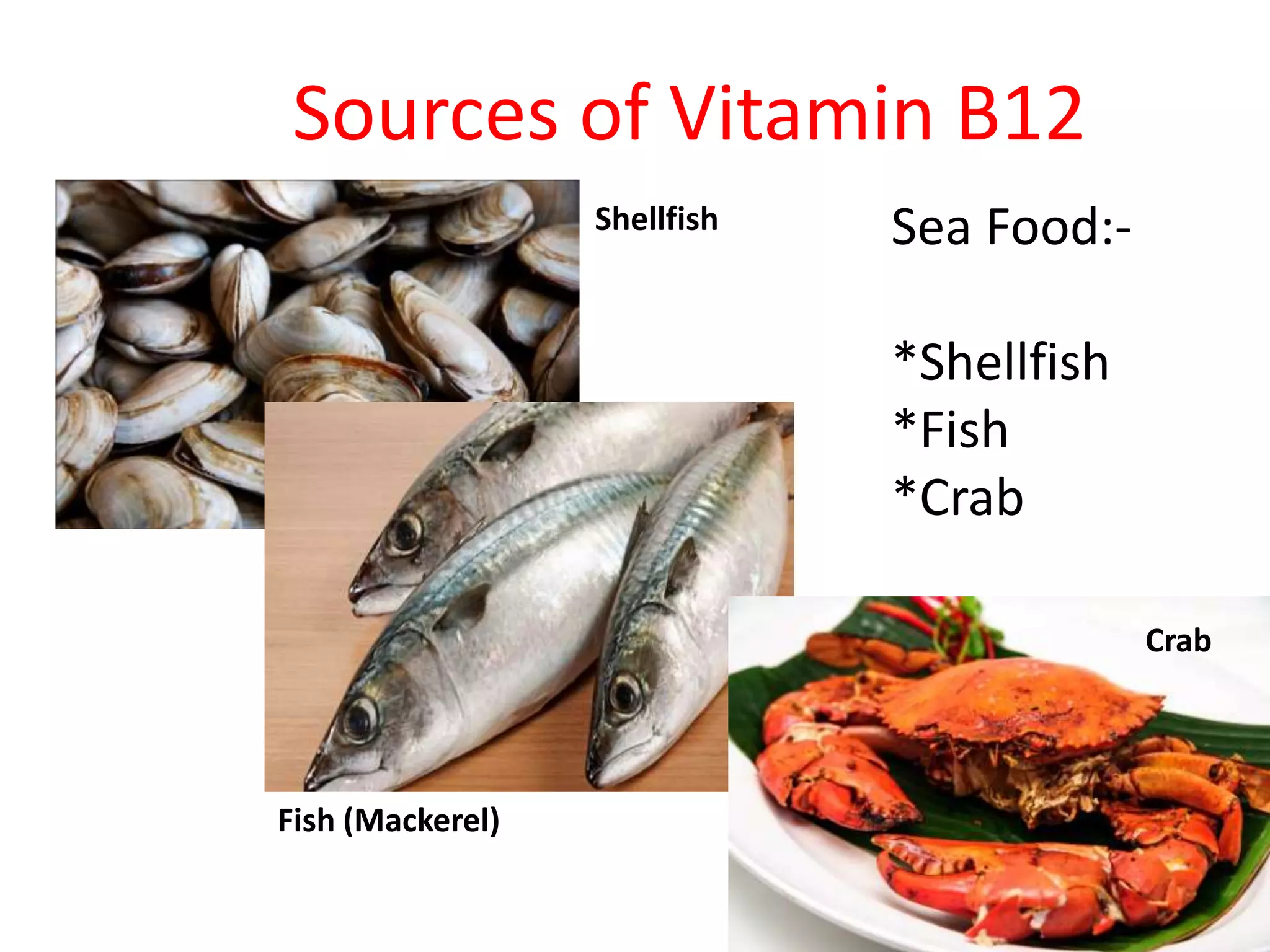 Vitamin B12 | PPTX