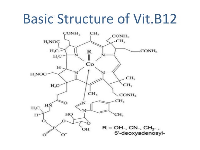 Vitamin B12