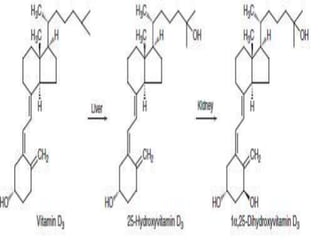 VIT D3 seminar | PPTX