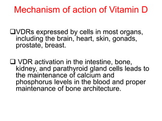 VIT D3 seminar | PPTX