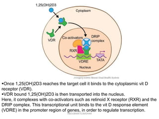 ROLE OF VIT D IN FEMALE REPRODUCTION. PROF ABOUBAKR ELNASHAR | PPSX