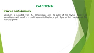 vitD metabolism and calcitonin.pptx for mbbs and neetpg | PPTX
