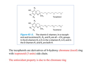 Vit E | PDF
