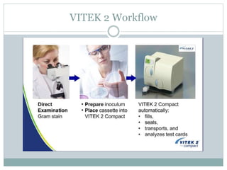 Vitek 2 compac tpptx | PPTX