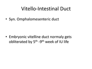 Omphalomesenteric Duct