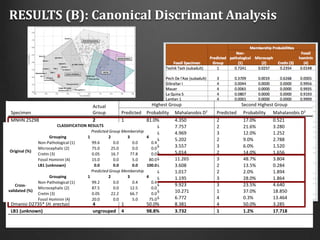 IPPA Cambodia talk - LB1 mandible | PPTX