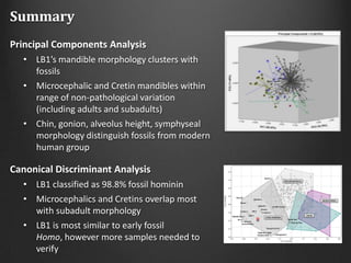 IPPA Cambodia talk - LB1 mandible | PPTX