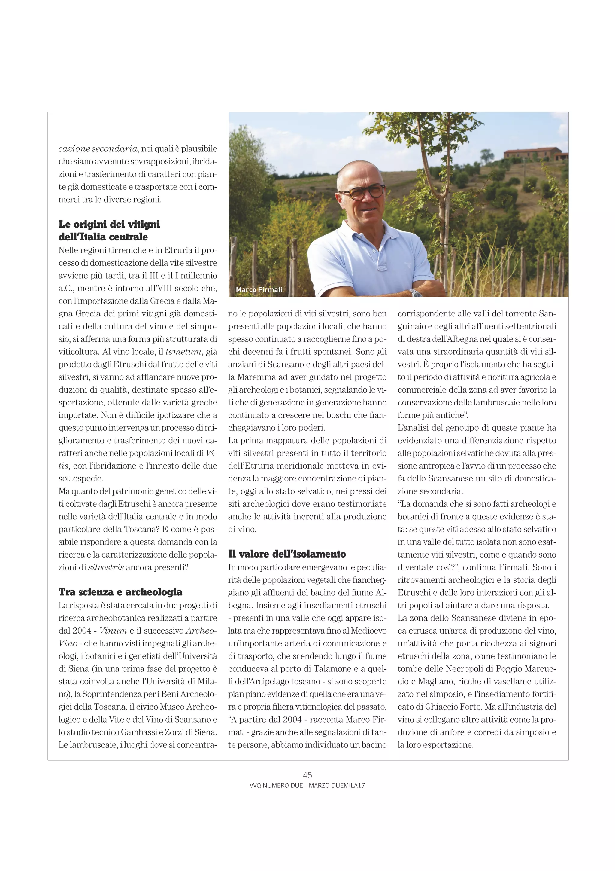 Vite selvatica etruschi_archeologia | PDF