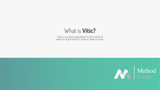 Vitic pdf | PPT