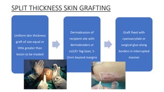 VITILIGO SURGERY.pptx