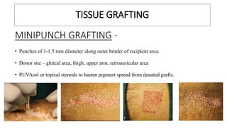 VITILIGO SURGERY.pptx