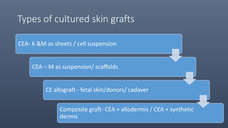 vitiligo surgery 2.pptx