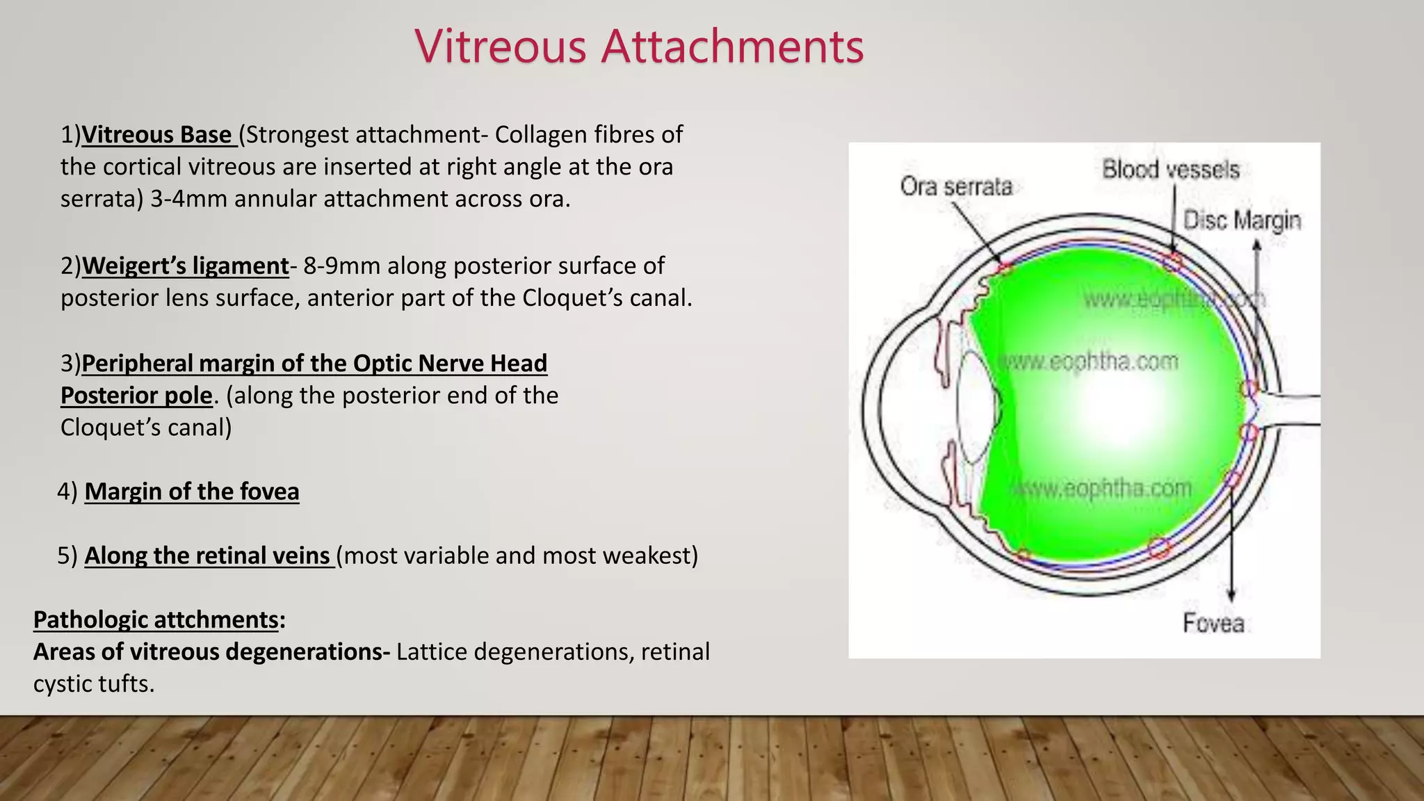 Vitreo macular interface disorder | PPTX