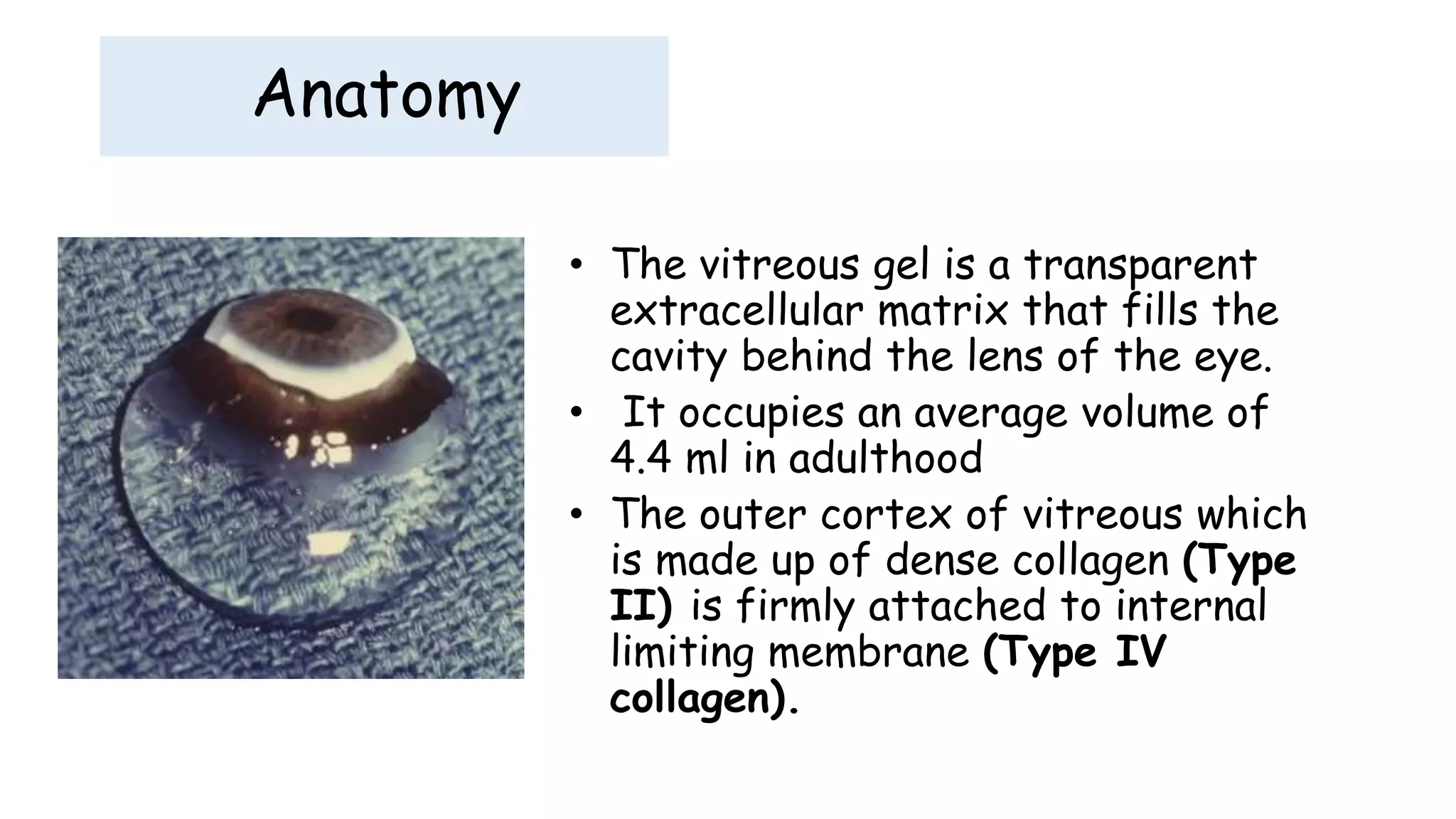 Vitreoretinal interface disorders | PPTX