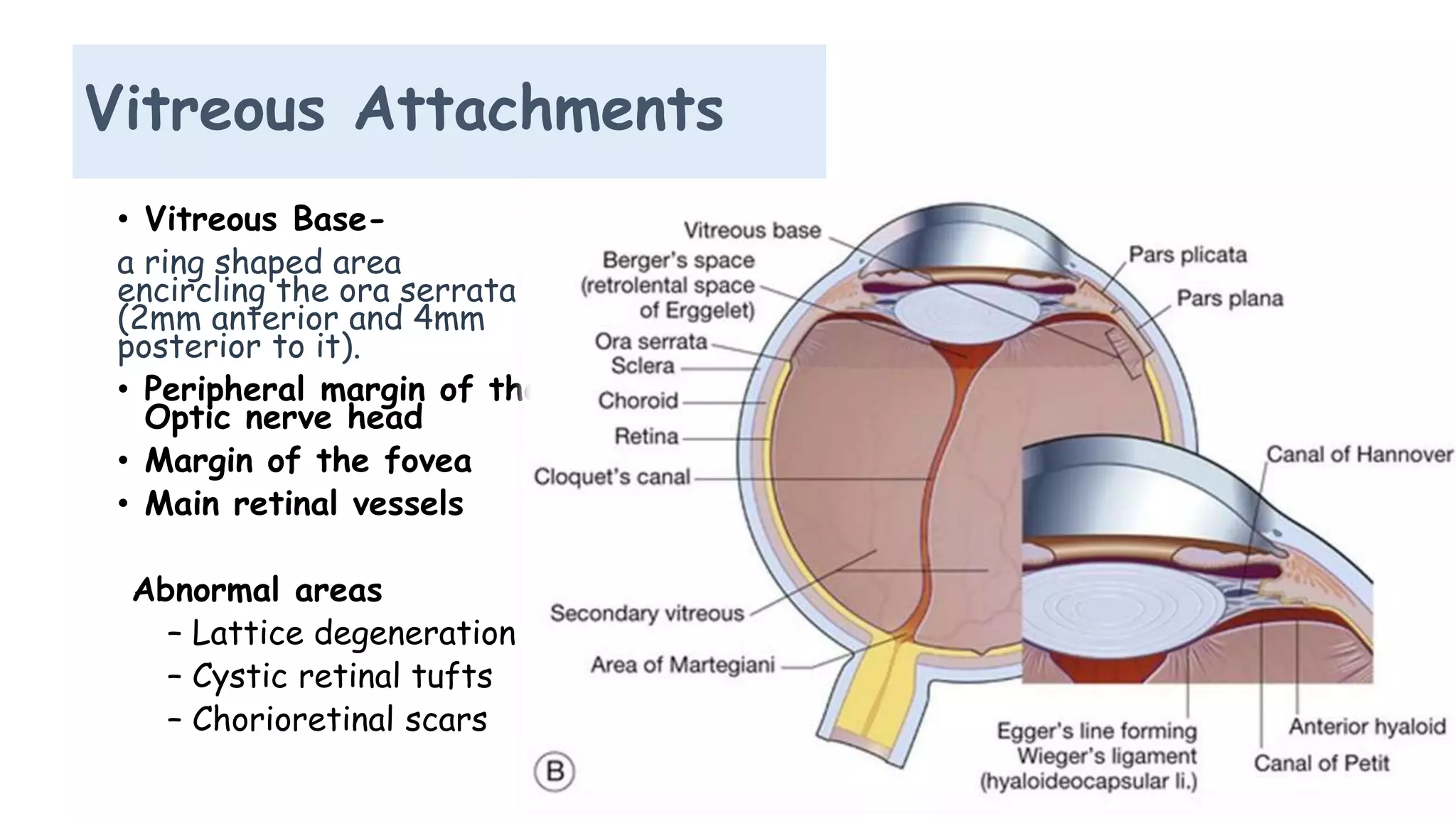 Vitreoretinal interface disorders | PPTX