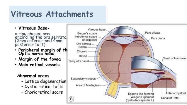 Vitreoretinal interface disorders