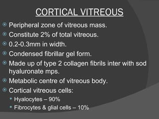 Vitreous | PPT