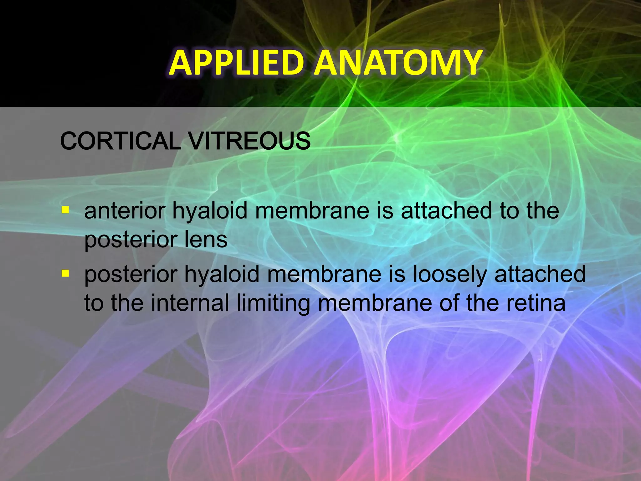 Vitreous | PPTX