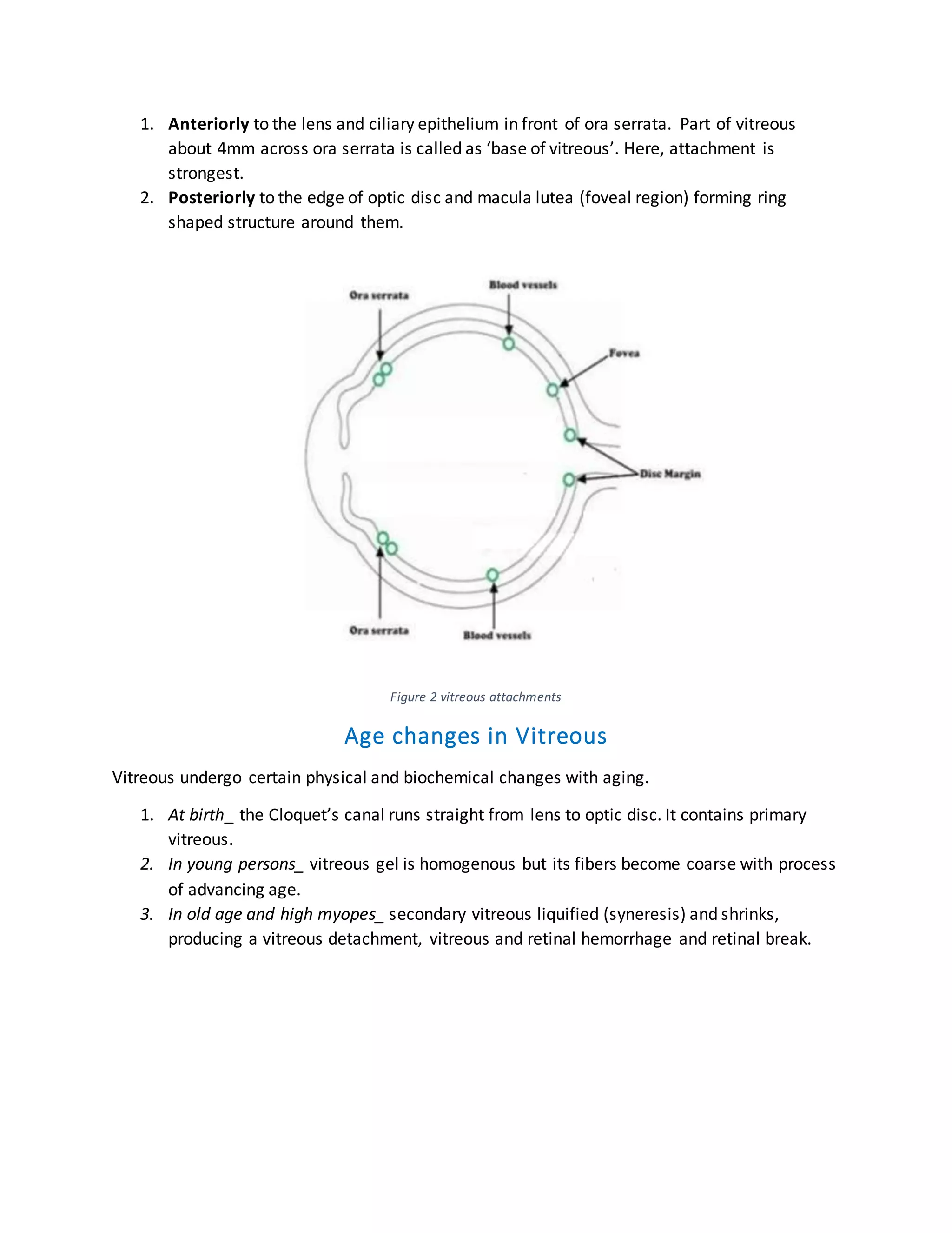 Vitreous (Attachments, age changes, vitreous hemorrhage, Vitreous ...