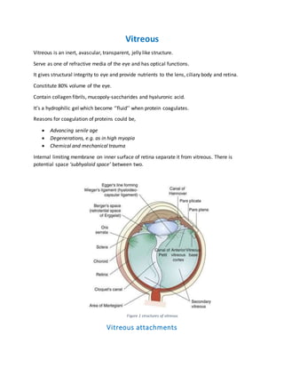 Vitreous (Attachments, age changes, vitreous hemorrhage, Vitreous ...