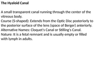 Vanitha-Vitreous body and Hyaloid canal a-WPS Office.pptx
