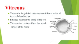 Vitreous degeneration | PPTX